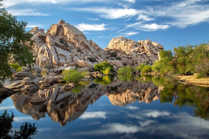 Joshua Tree National Park Self-Guided Audio Tour - Who Will Love This Tour?