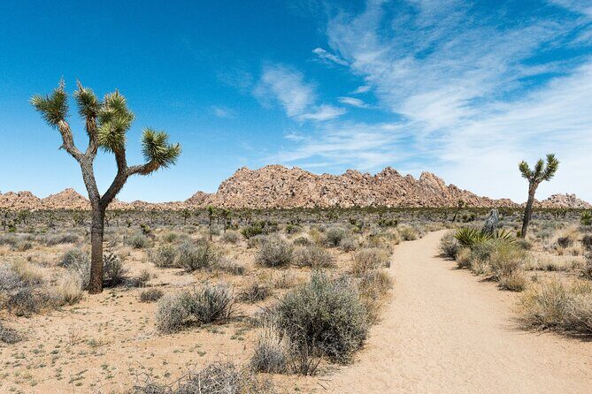 Joshua Tree National Park Self-Guided Driving Audio Tour - FAQ