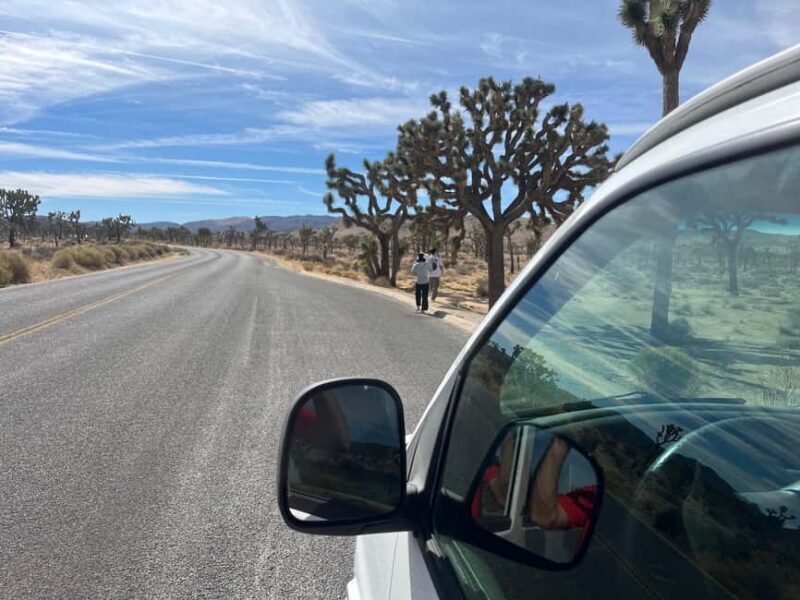 Joshua Tree National Park Tours | Private Tour (Max 10) - Key Points