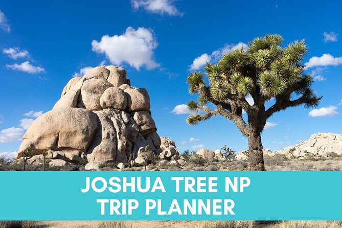 Joshua Tree National Park Trip Planner - Key Points