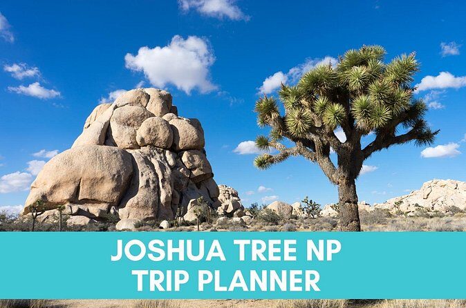 Joshua Tree National Park Trip Planner - Final Thoughts: Who Will Love This Tour?