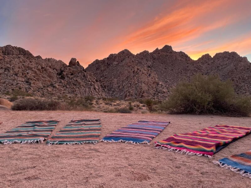 Joshua Tree: Soundbath Under The Stars - Price and Value