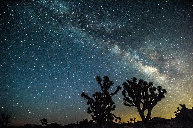 Joshua Tree Sunset & Stargazing Private Tour & Hike - Key Points