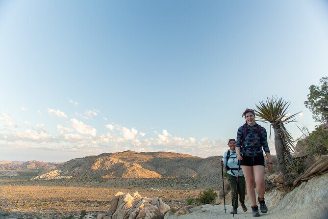 Joshua Tree Sunset & Stargazing Private Tour & Hike - Is This Tour Worth the Price?