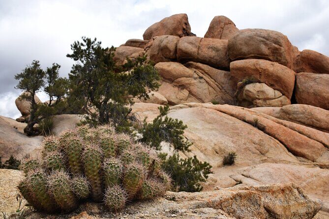 Joshua Tree's Hidden Valley Self-Guided Walking Tour - A Detailed Look at the Hidden Valley Self-Guided Tour