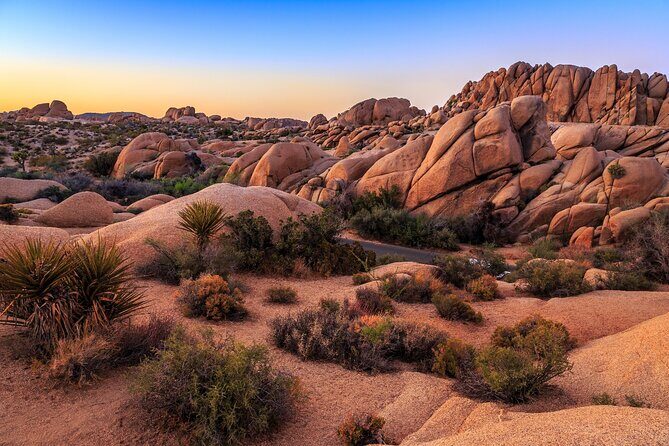 Joshua Tree's Hidden Valley Self-Guided Walking Tour - Who Should Consider This Tour?