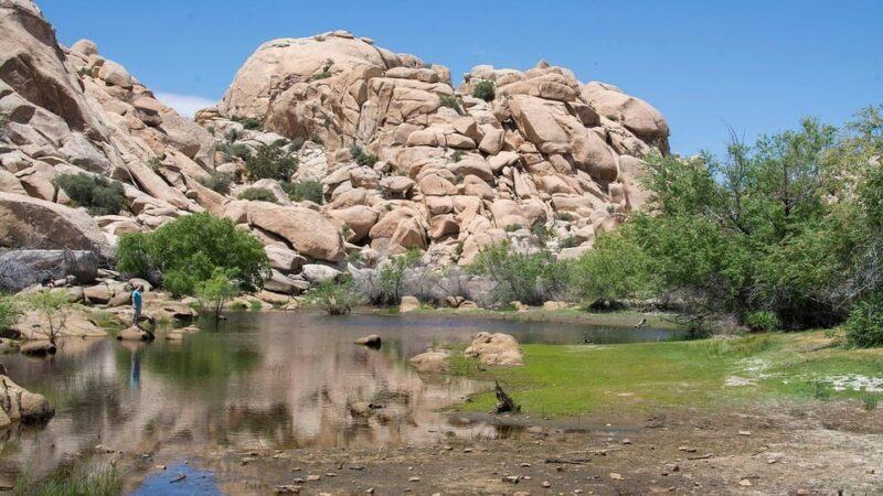 Journey into Joshua Tree: Audio Driving Tour and Local Guide - Who Should Consider This Tour?