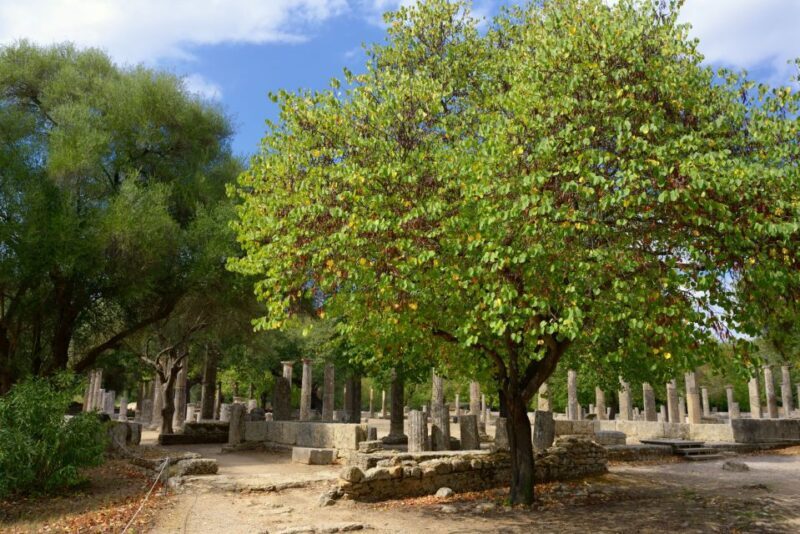Journey of Legends - Ancient Olympia & Marble Art - FAQ