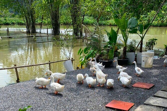 Journey Off the Beaten Path: Ninh Binh Hidden Gems by Motorbike - Who Should Consider This Tour?
