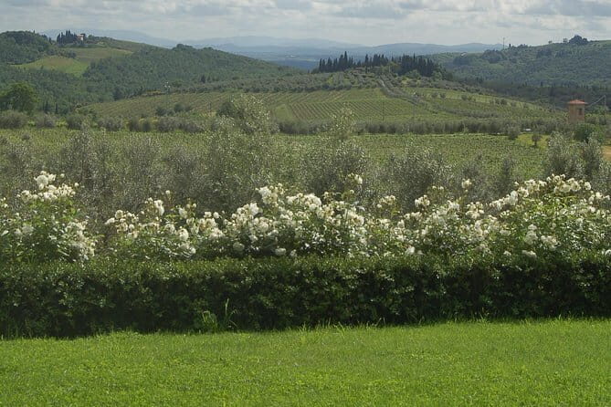 Journey through Italian Cheese - The Educational Component
