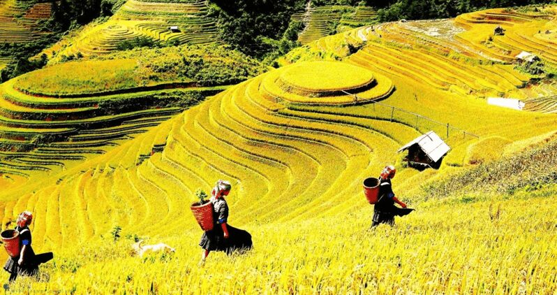 Journey Through Sapa Terraces & Traditions - Who Will Love This Tour?
