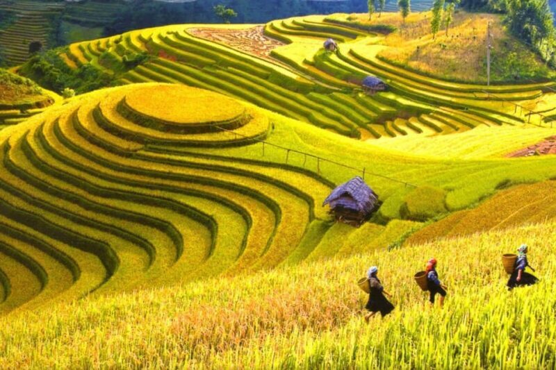 Journey Through Sapa Terraces & Traditions - Final Thoughts