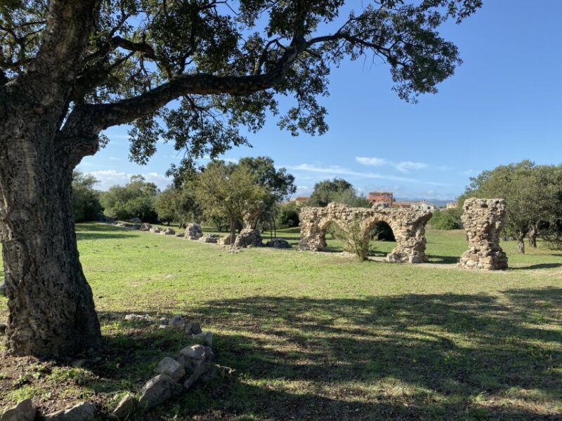 Journey Through Time - Discover Sardinia's Ancient Treasures - Key Points