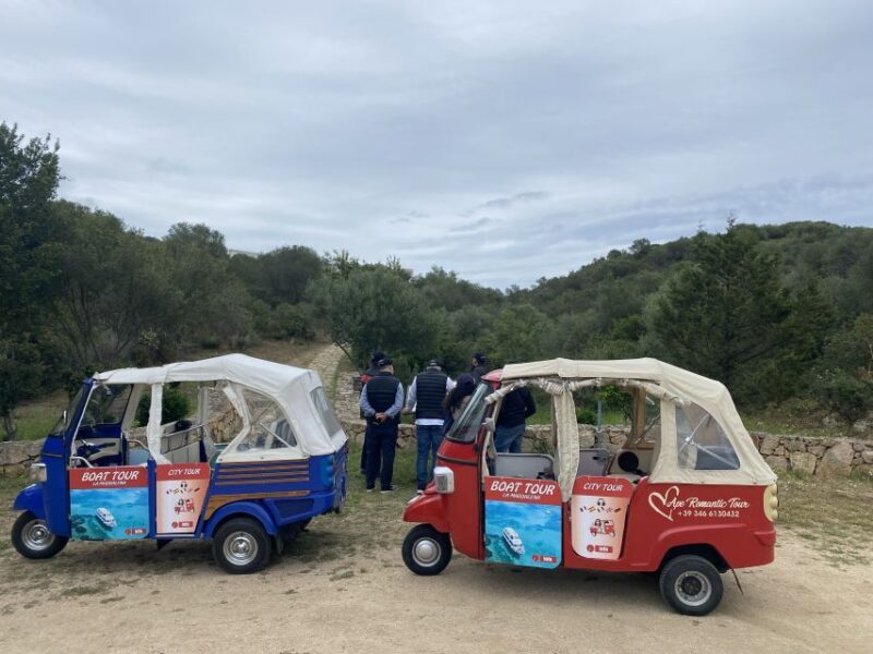 Journey Through Time - Discover Sardinia's Ancient Treasures - Exploring Sardinia’s Ancient Gems in Olbia