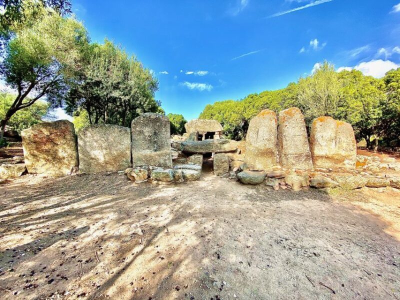 Journey Through Time - Discover Sardinia's Ancient Treasures - The Sum Up