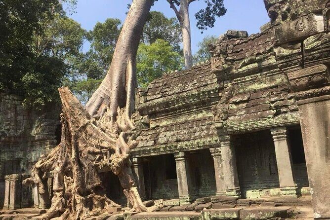 Journey Through Time: Grand Tours with professional photographers - What You Can Expect at Each Stop