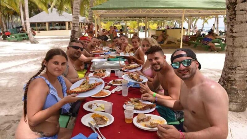 Juan Dolio: Saona Island Day Trip with Lunch & Open Bar - Key Points