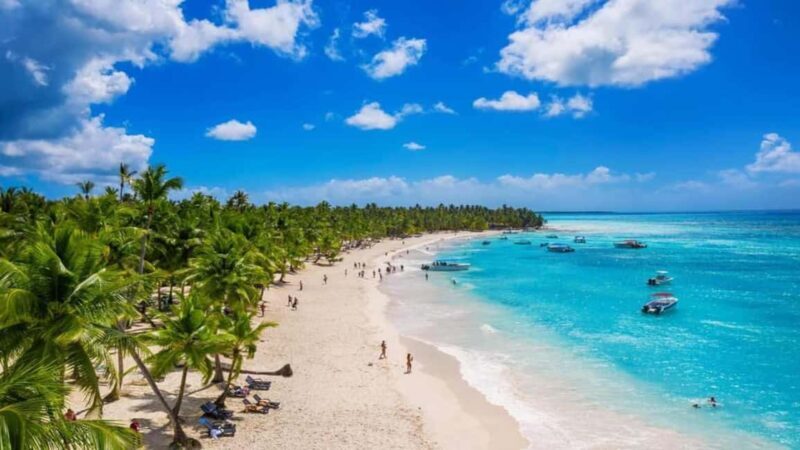 Juan Dolio: Saona Island Day Trip with Lunch & Open Bar - What to Expect on the Tour
