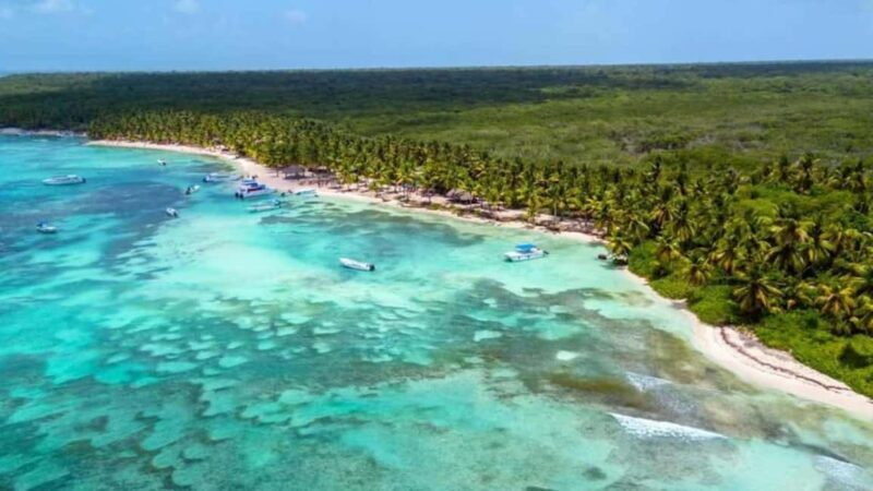 Juan Dolio: Saona Island Day Trip with Lunch & Open Bar - The Pros and Cons