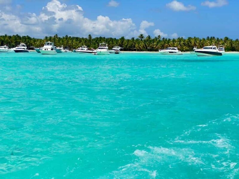 Juan Dolio: Saona Island Full-Day Tour with Catamaran Ride - Who Will Love This Tour?