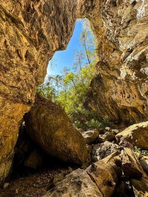 Juárez Highlands: Ecotourism and Workshop Experience - Visiting Capulalpam de Méndez: Local Culture and Hospitality