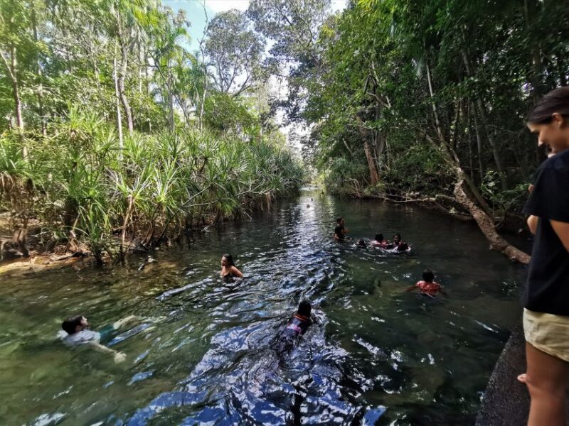 Jumping Croc Cruise, Berry Springs,Fogg Dam & Humpty Doo Pub - Engaging and Authentic Top End Experience