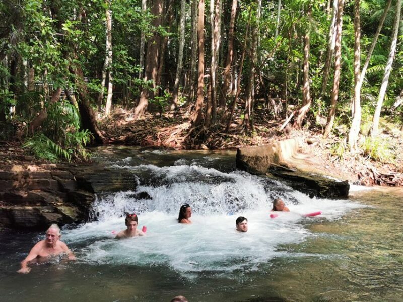 Jumping Croc Cruise, Berry Springs,Fogg Dam & Humpty Doo Pub - Fogg Dam: Birdwatching and Wildlife at Its Best