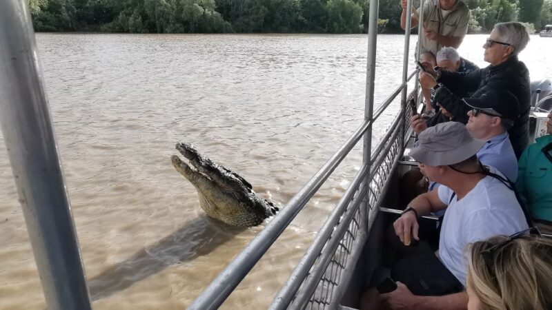 Jumping Croc Cruise, Berry Springs,Fogg Dam & Humpty Doo Pub - Authenticity and Guide Quality