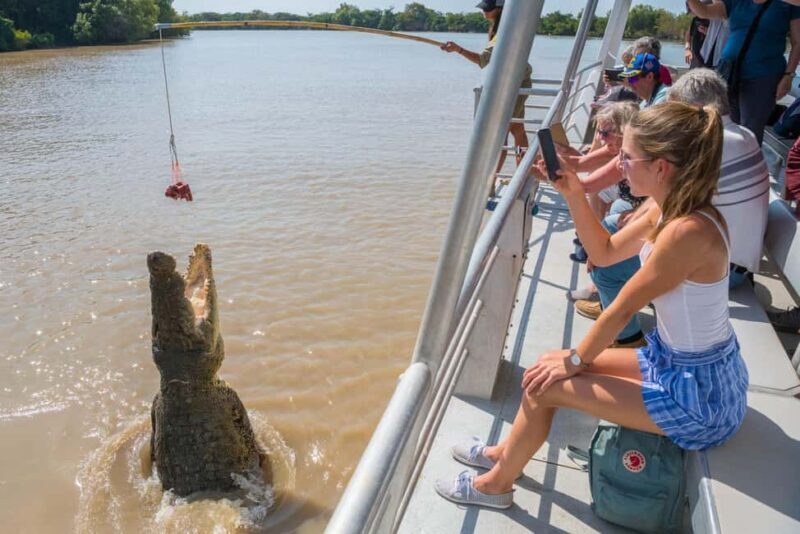 Jumping Crocodile Cruise from Darwin Half-Day Scenic Trip - Key Points