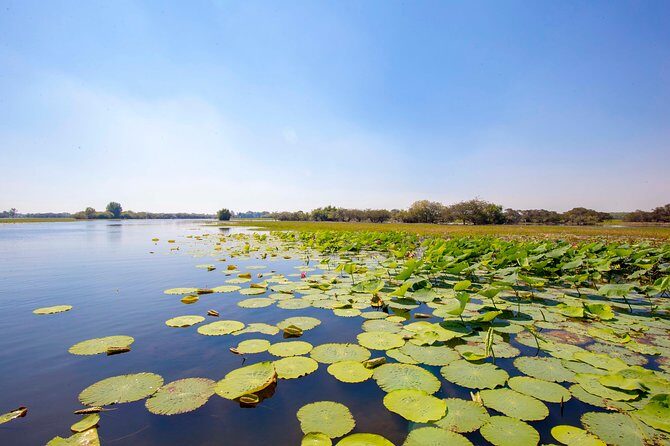 Jumping Crocs & Nature Adventure Cruise from Darwin - FAQ