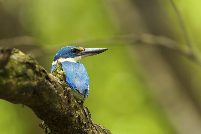 Junam Wetlands and Haeinsa Temple Tour - The Itinerary in Detail