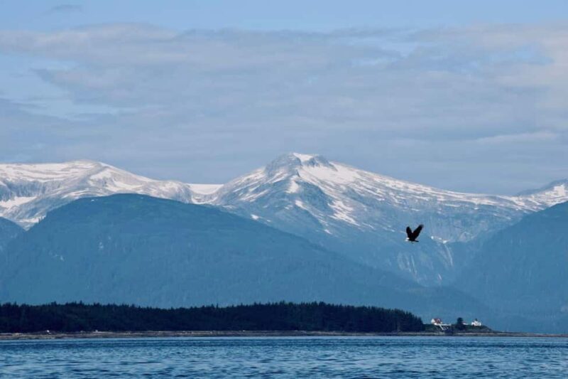 Juneau: 3.5-Hour Small Group Whale Watching Tour - Practical Details and Tips