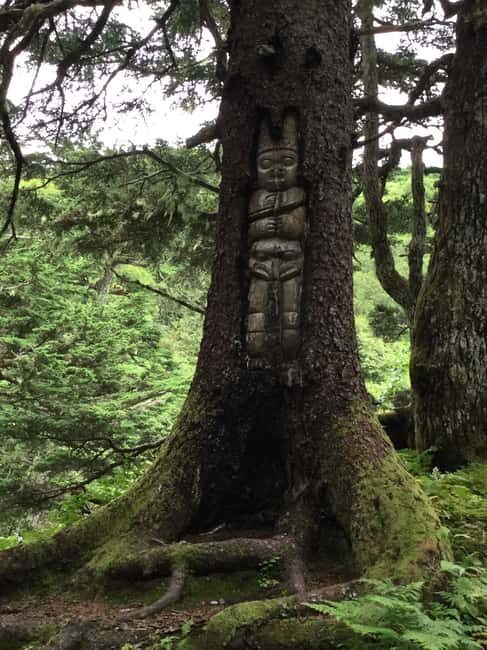 Juneau: Alaska Native Tour with Tram Ride and Meal - Exploring the Itinerary: What You Can Expect