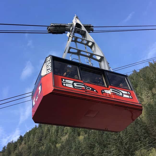 Juneau: Alaska Native Tour with Tram Ride and Meal - Authentic Insights from Past Participants