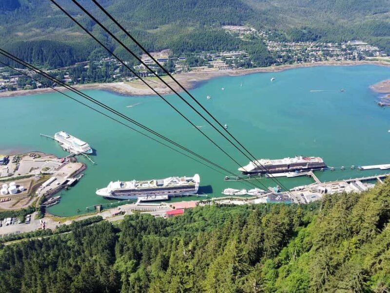 Juneau: Alaska Native Tour with Tram Ride and Meal - The Sum Up