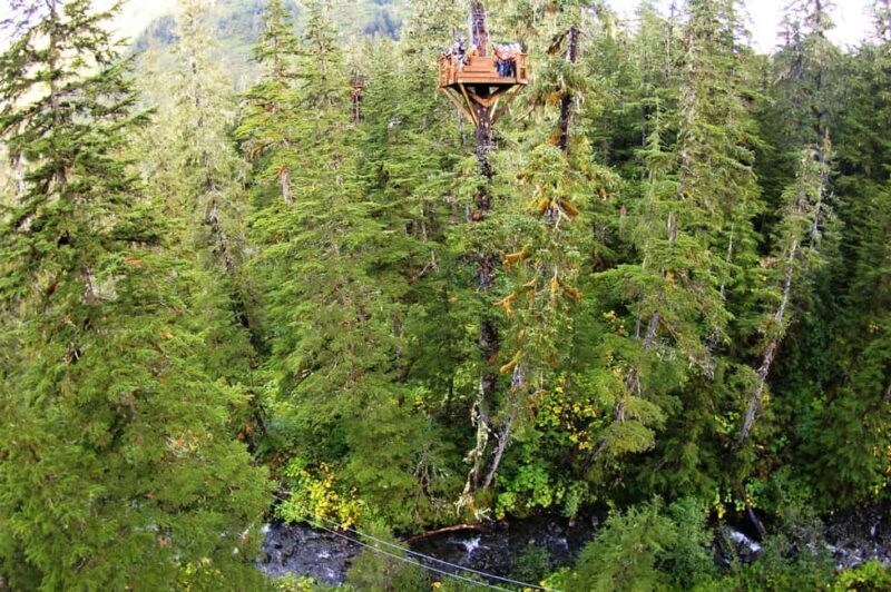 Juneau: Alpine Zipline Adventure - Key Points