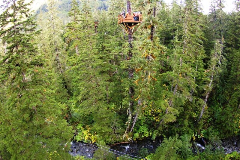 Juneau: Alpine Zipline Adventure - Final Thought