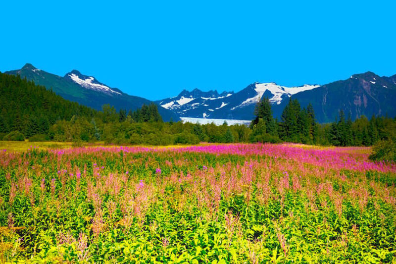 Juneau: City Highlights Bus Tour - Final Thoughts: Who Should Take This Tour?