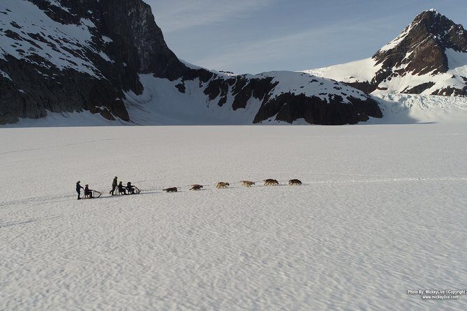 Juneau Helicopter and Dogsledding with Added Glacier Landing - Final Thoughts: Is This Tour for You?