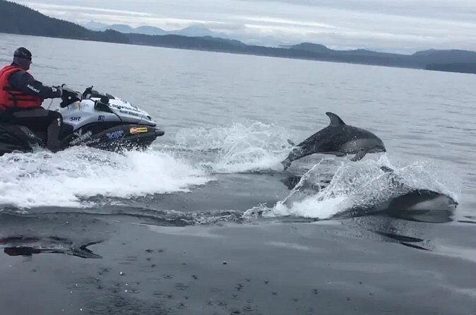 Juneau Jetski & Whale Adventure - Who Will Love This Tour?