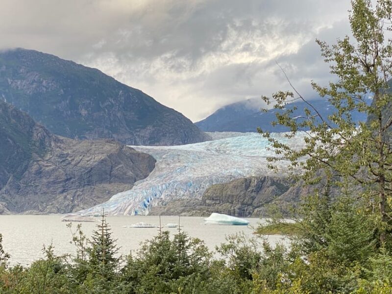 Juneau: Mendenhall Glacier and Whale Watching Tour - An Overview of What to Expect