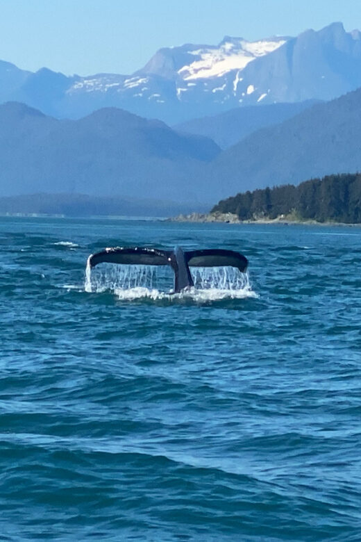Juneau: Mendenhall Glacier and Whale Watching Tour - The Value of the Tour