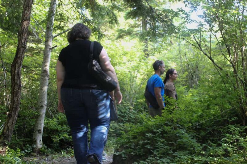 Juneau: Mindfulness in the Wilderness - The Journey Through the Wilderness