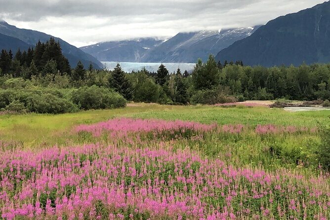 Juneau Private 3 Hour Scenic Road Trip - The Sum Up