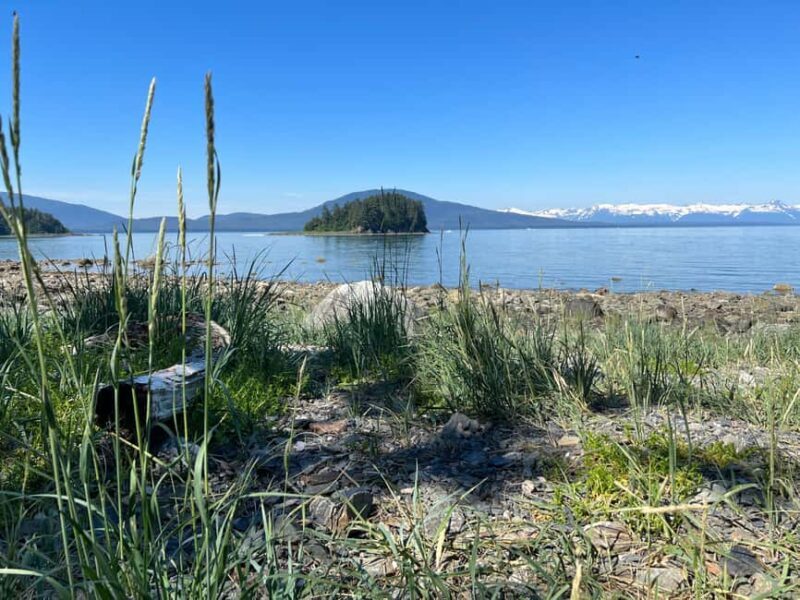 Juneau: Rainforest Photo Safari on a Segway - Final Scenic Stops & Reflection