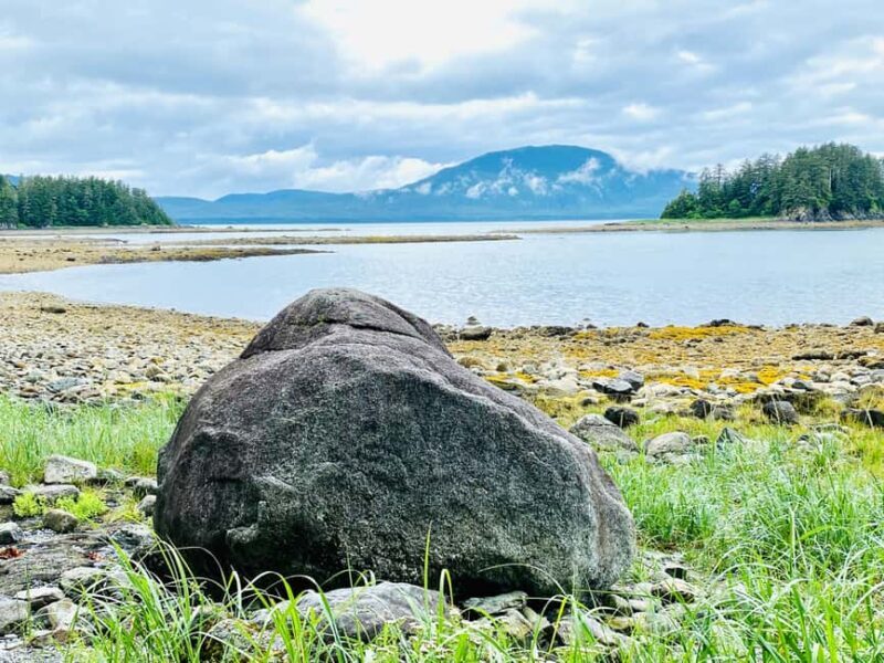 Juneau: Rainforest Photo Safari on a Segway - Who Would Love This Tour?