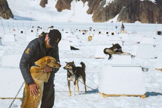 Juneau Shore Excursions: Helicopter Dogsledding Experience and Additional Glacier Landing - Price and Value: Is It Worth It?