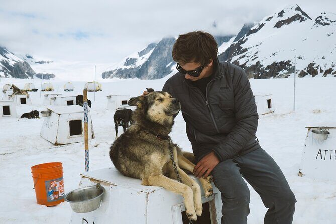 Juneau Shore Excursions: Helicopter Dogsledding Experience and Additional Glacier Landing - Who Is This Tour Best For?