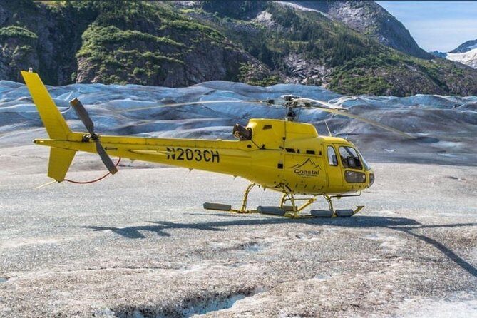 Juneau Shore Excursions: Helicopter Dogsledding Experience and Additional Glacier Landing - The Sum Up: Who Should Book This Experience?