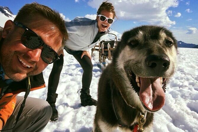 Juneau Shore Excursions: Juneau Helicopter Tour & Dogsledding Experience - Final Word: Who Should Book?